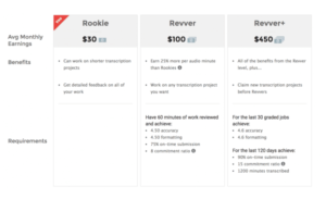 Rev Transcription Review (+ Rev Transcription Test details)
